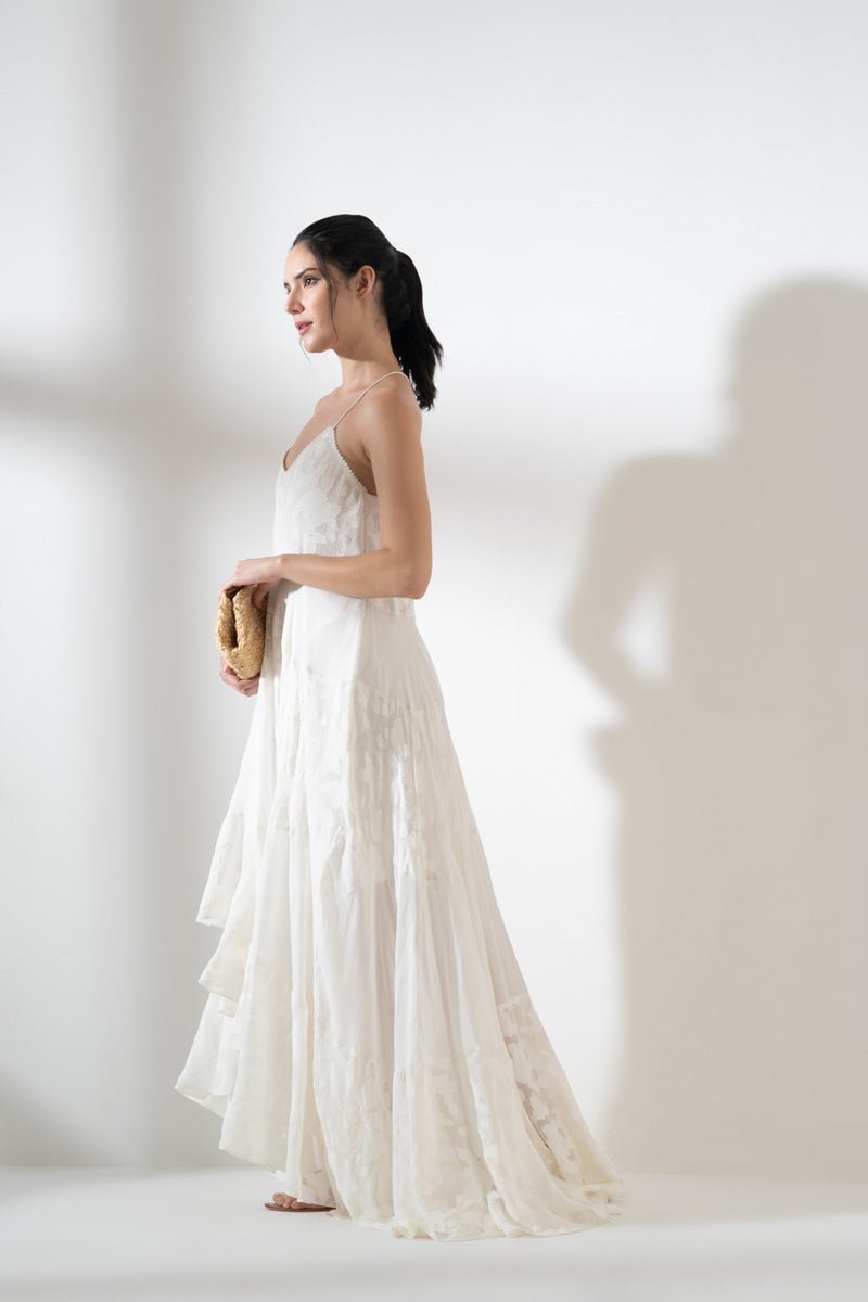 Ivory Tales – D-AMRTA